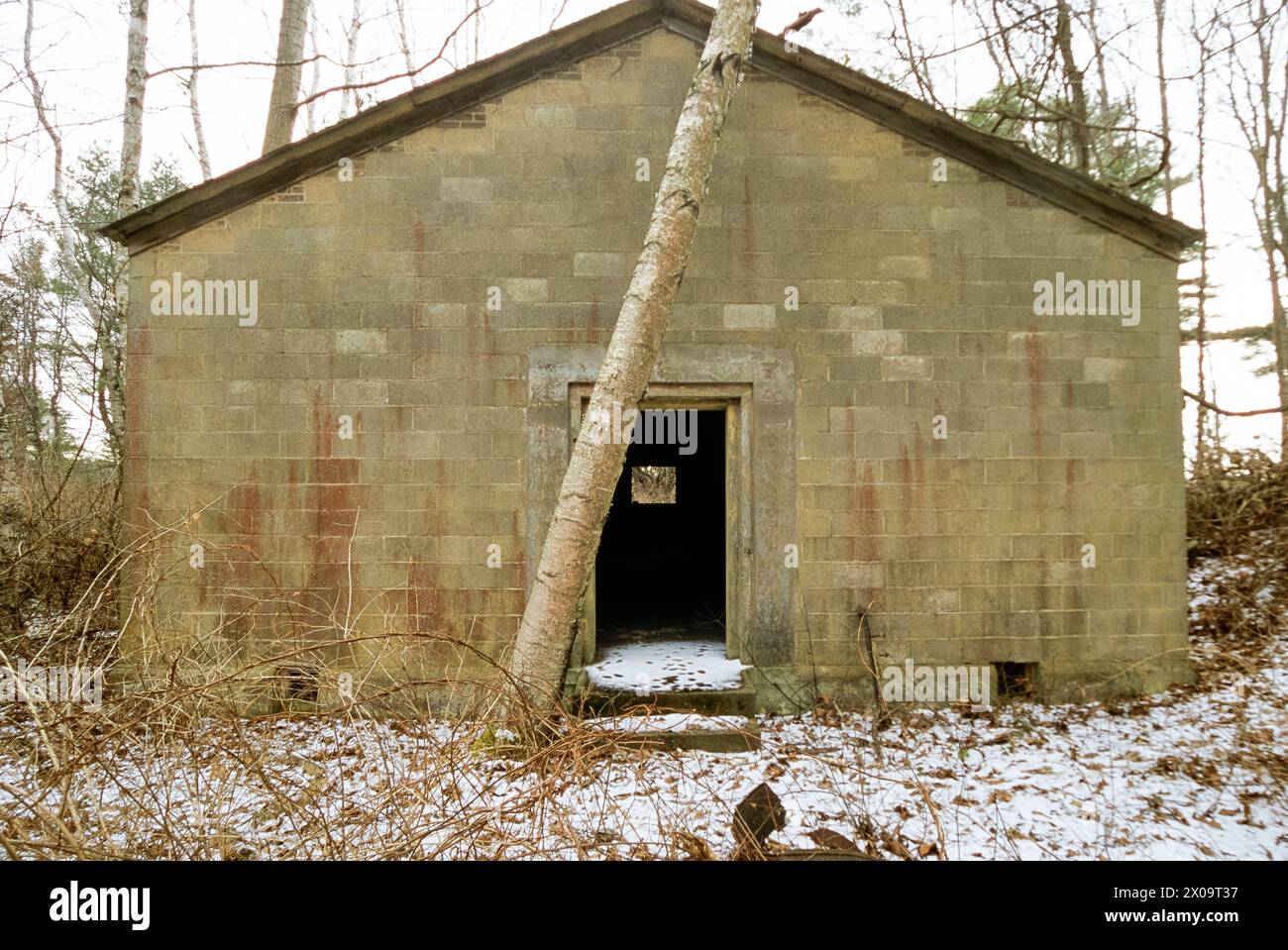 Les restes de Fort Dearborn, un bunker de la seconde Guerre mondiale ...
