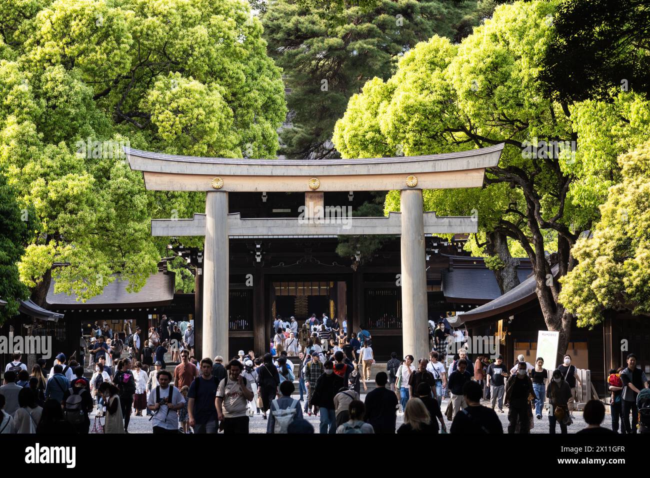 Tori torii porte temple sanctuaire tokyo Banque de photographies et d ...
