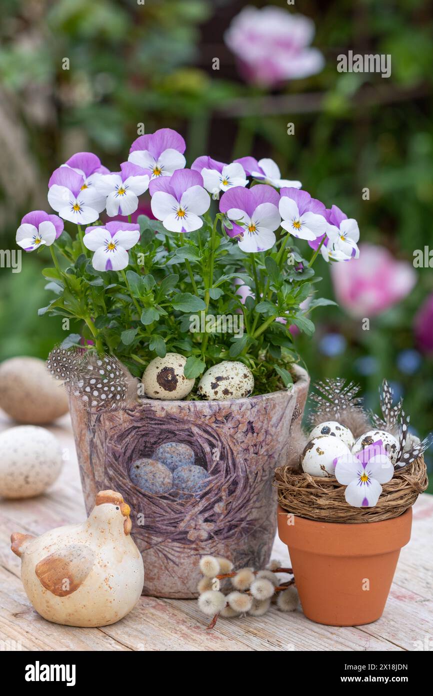 arrangement de pâques avec fleur d'alto rose et blanche en pot et ...