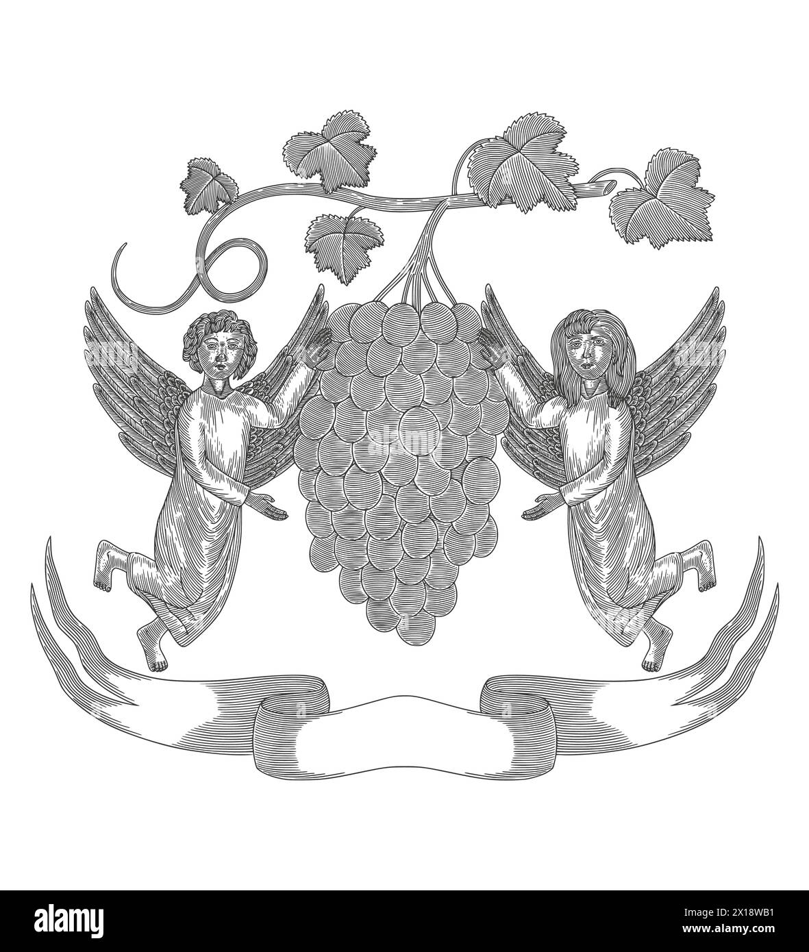 Dessin de grappe de raisin Banque de photographies et d’images à haute ...