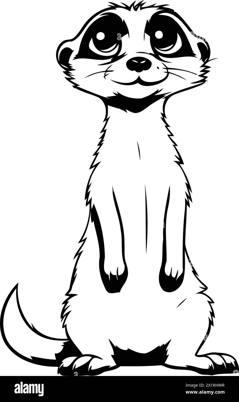 Dessin suricate Banque d'images noir et blanc - Alamy