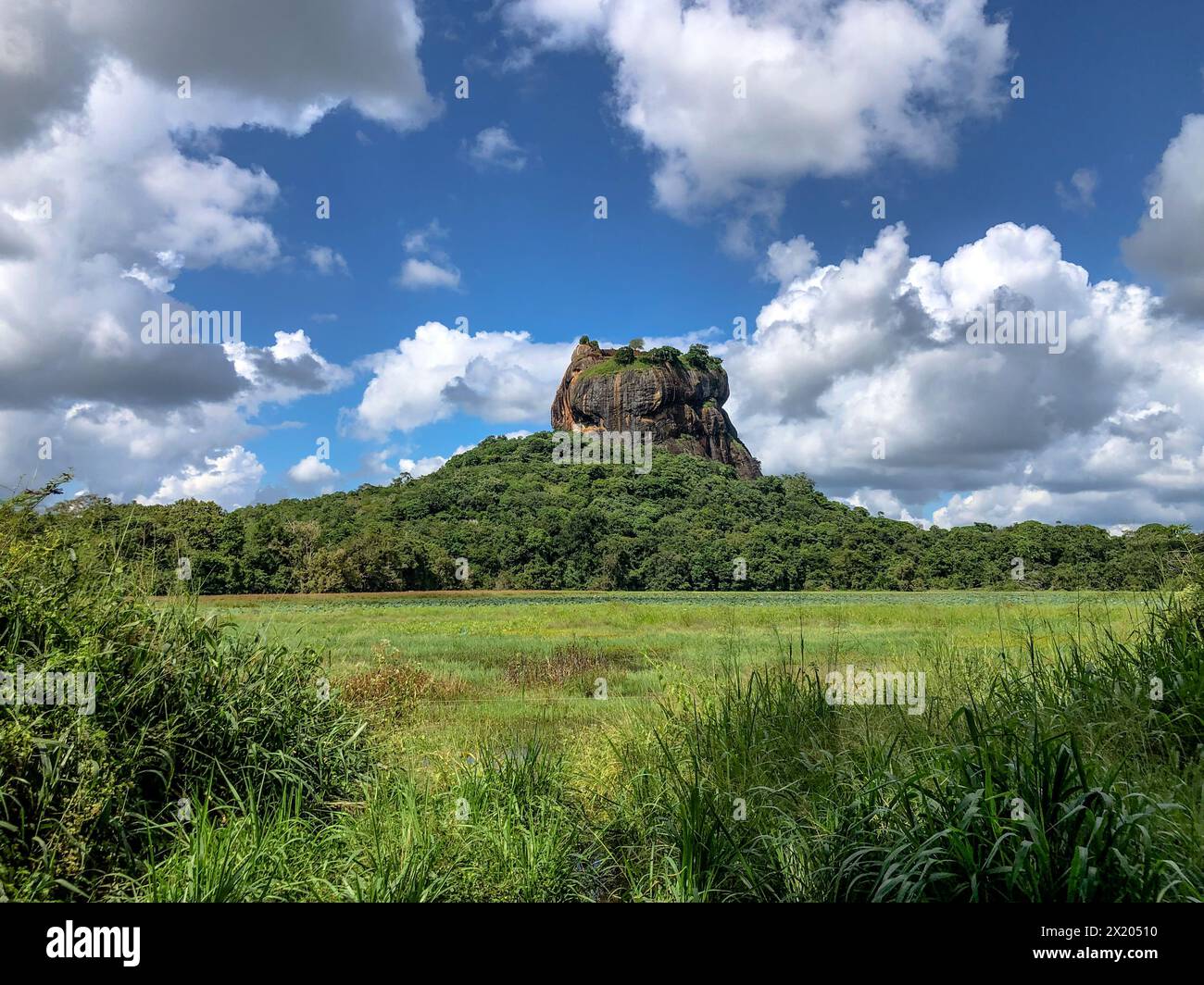 Sigiriya paintings Banque de photographies et d’images à haute ...
