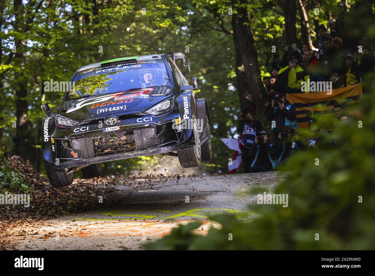 33 EVANS Elfyn, MARTIN Scott, Toyota GR Yaris Rally1, action lors du Rallye de Croatie 2024, 4e ...