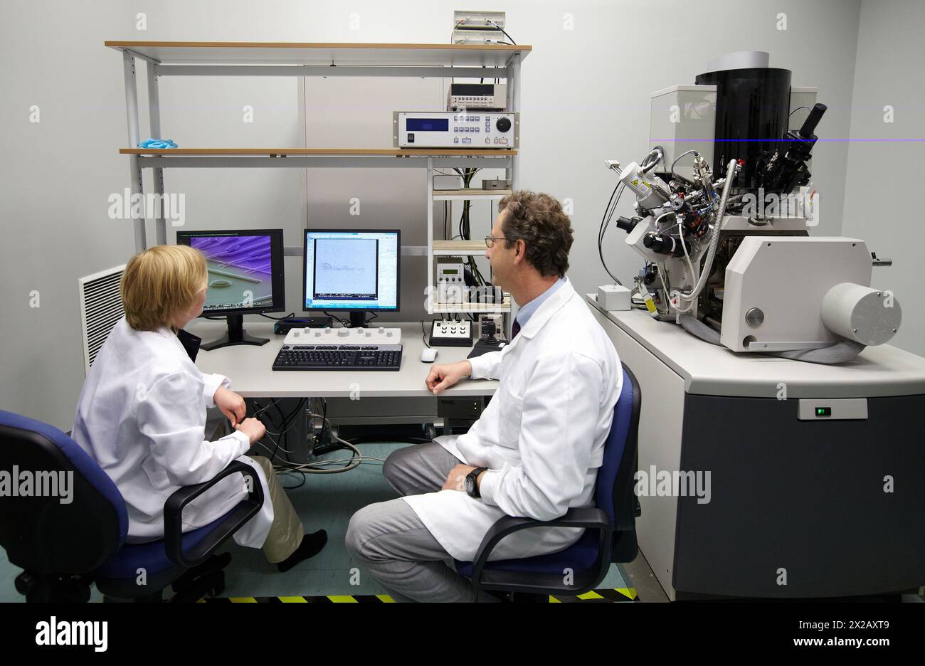 La microscopie électronique à balayage Banque de photographies et d ...