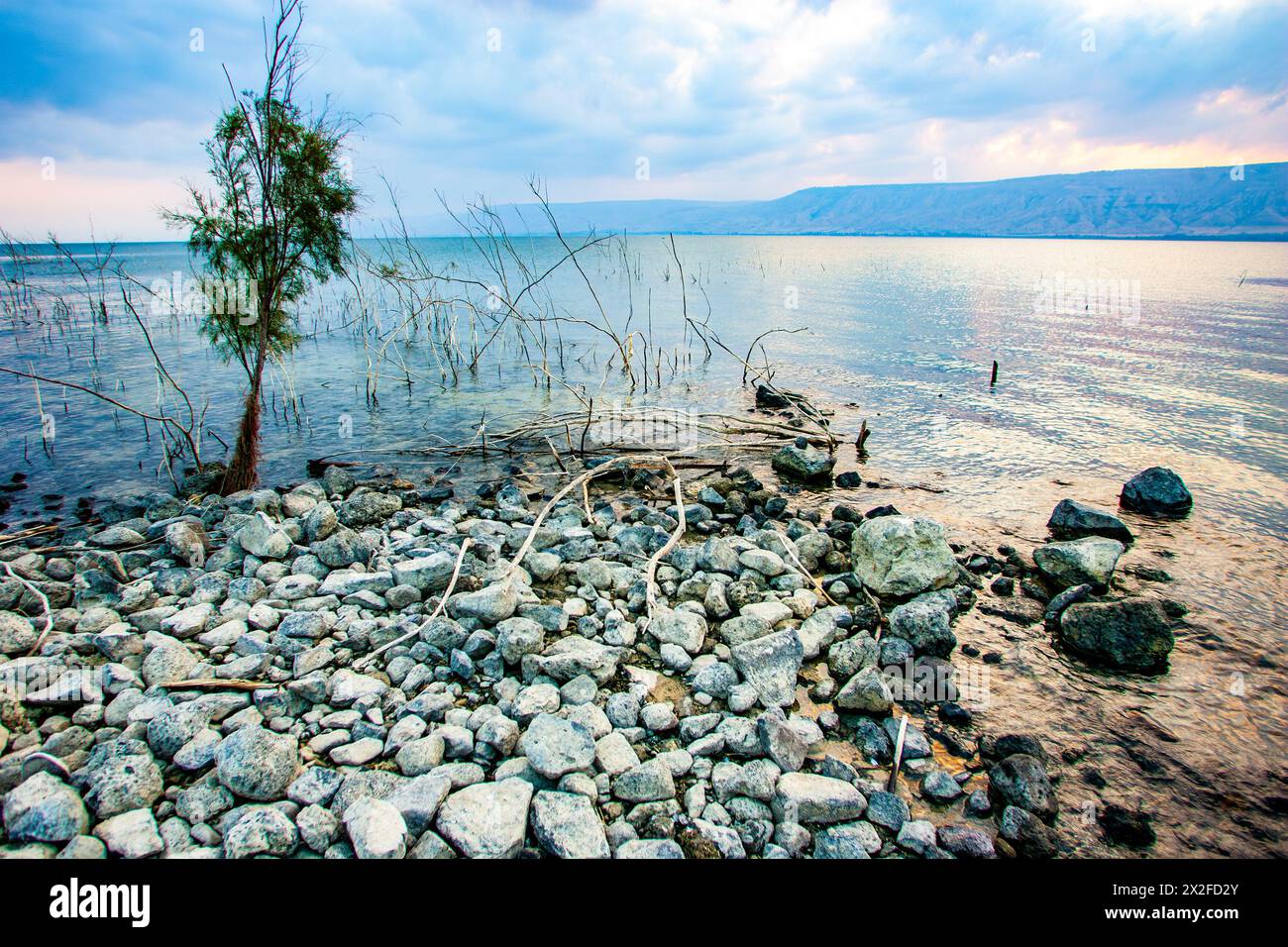 Au bord de l'eau sur la rive de la mer de Galilée, [lac Kineret ou lac ...