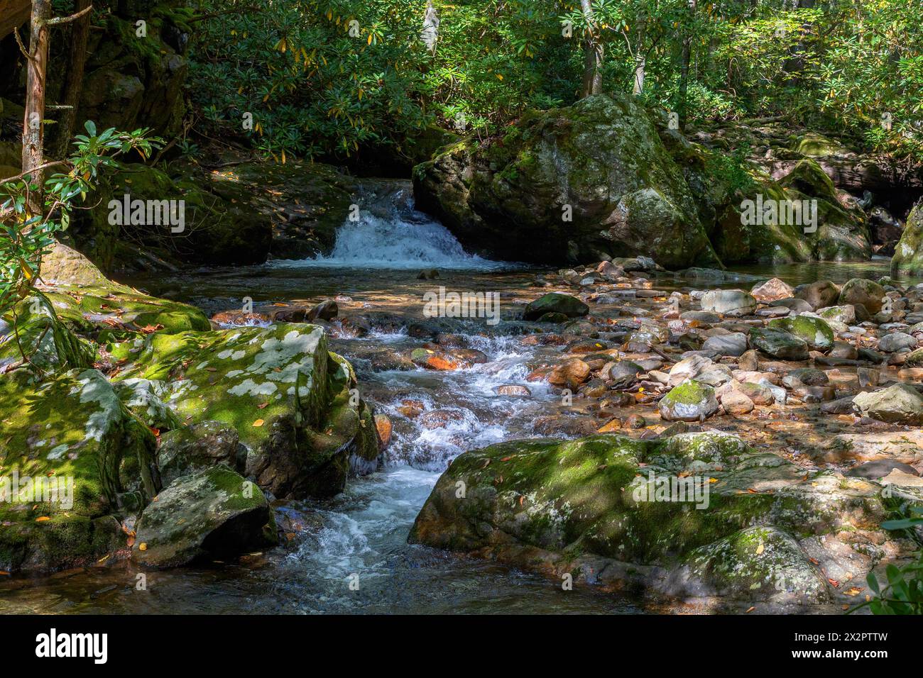 Sections de Rocky Fork Creek dans le Lamar Alexander Rocky Fork State ...