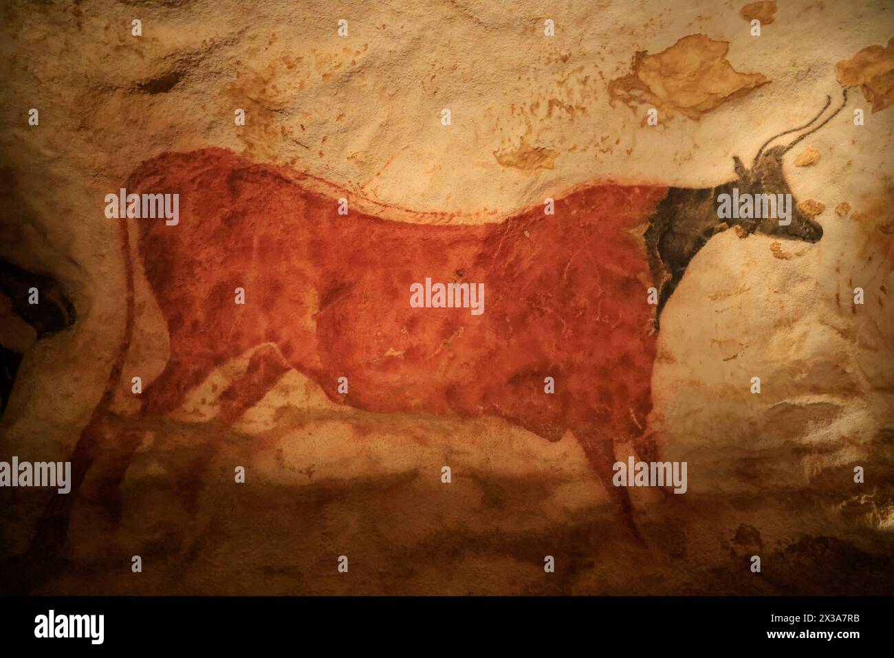 Parietal art Banque de photographies et d’images à haute résolution - Alamy