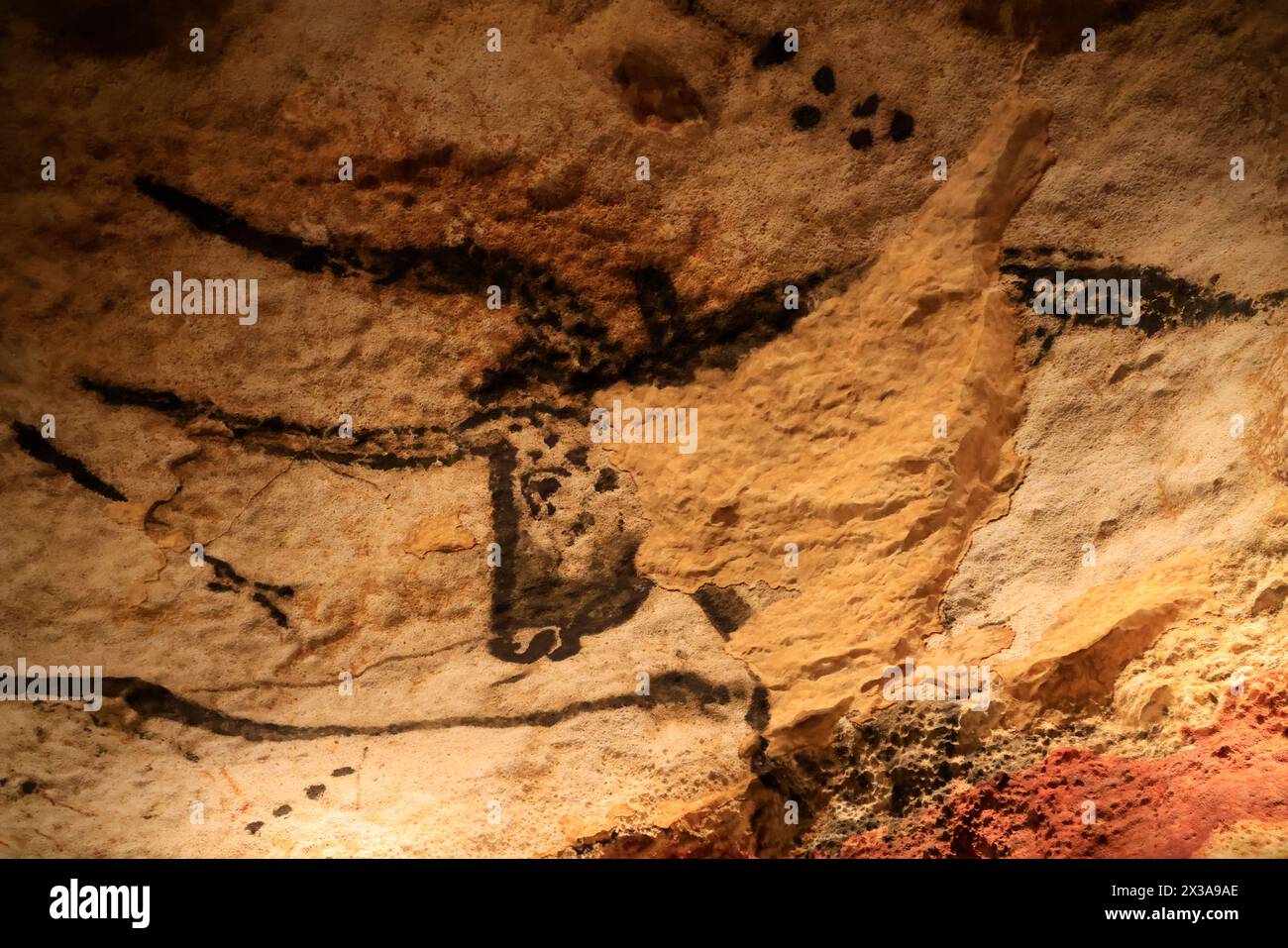 Parietal art Banque de photographies et d’images à haute résolution - Alamy