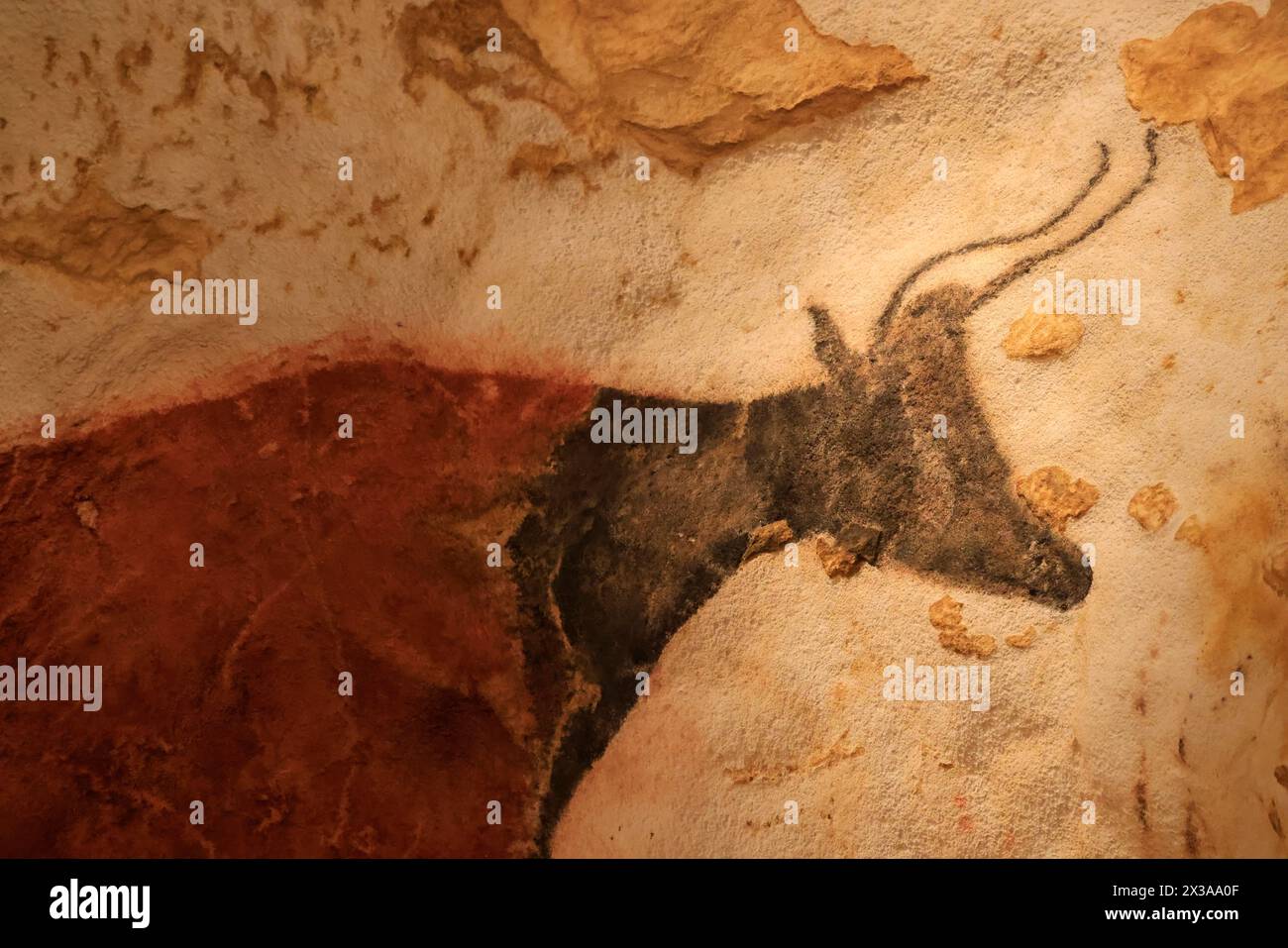 Parietal art Banque de photographies et d’images à haute résolution - Alamy