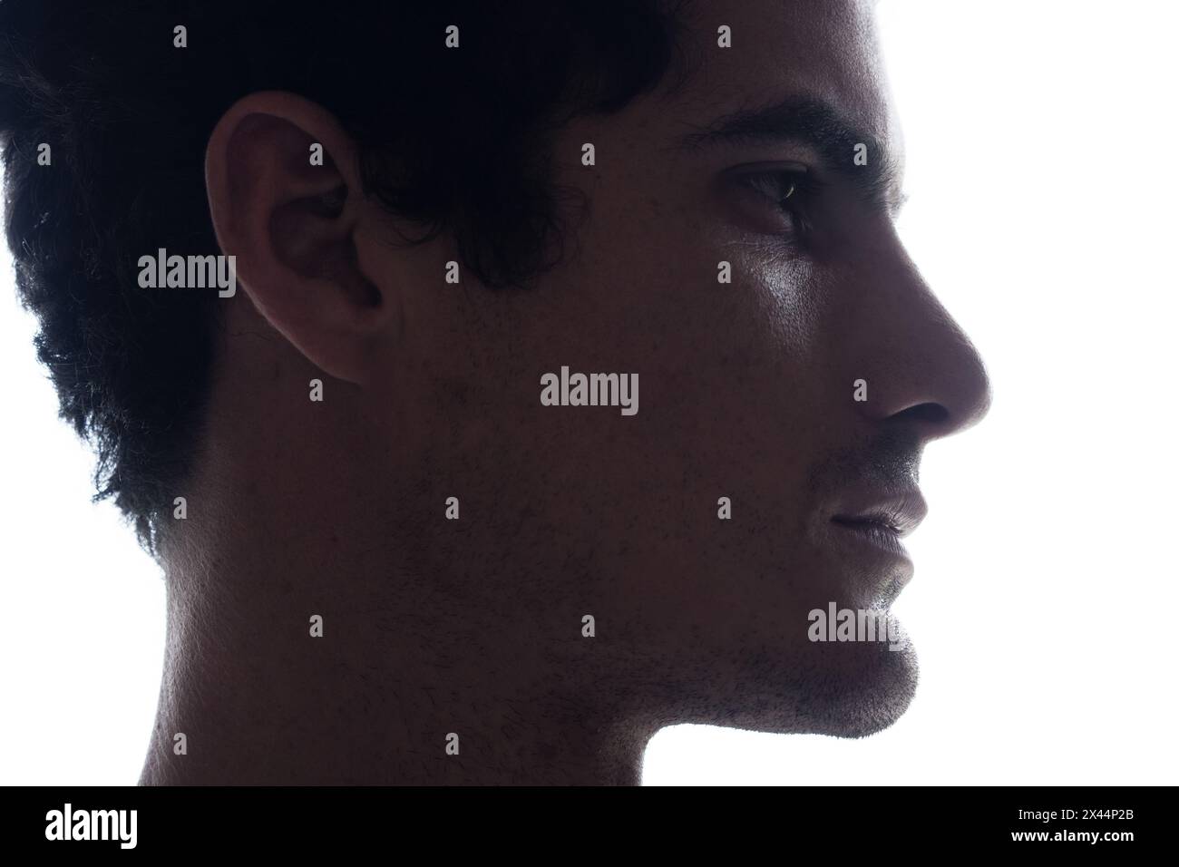 Art profile Banque de photographies et d’images à haute résolution - Alamy