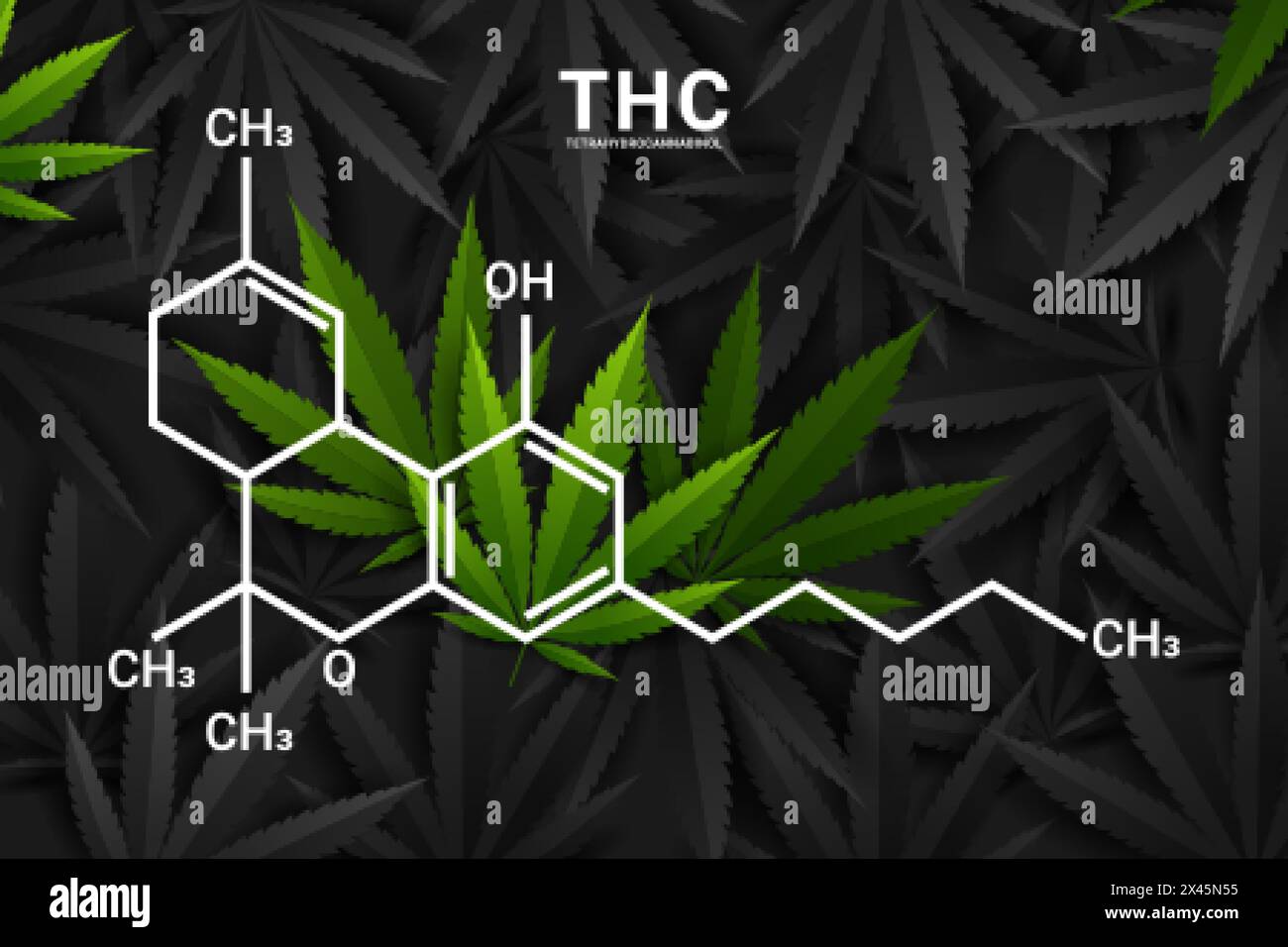 Vectores de vectores estructurales Banque de photographies et d’images ...