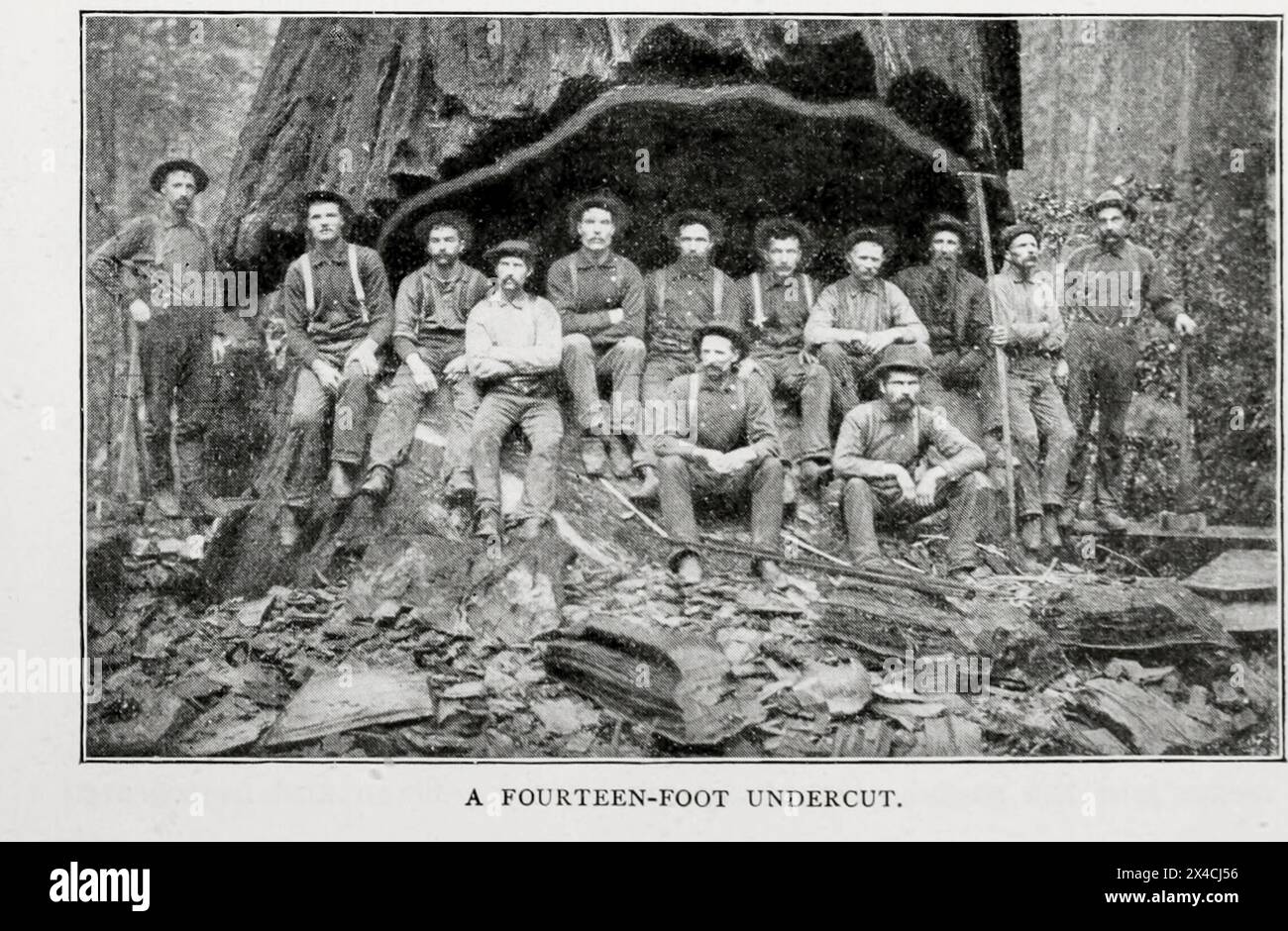 19th century logging Banque de photographies et d’images à haute ...