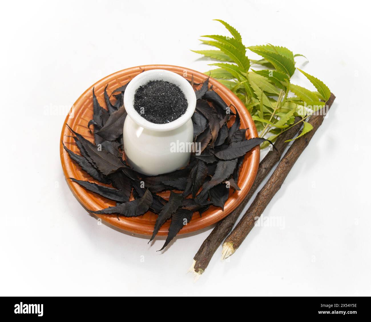 Neem Datun, poudre de dent noire avec feuilles de Neem, bâton de Neem ...