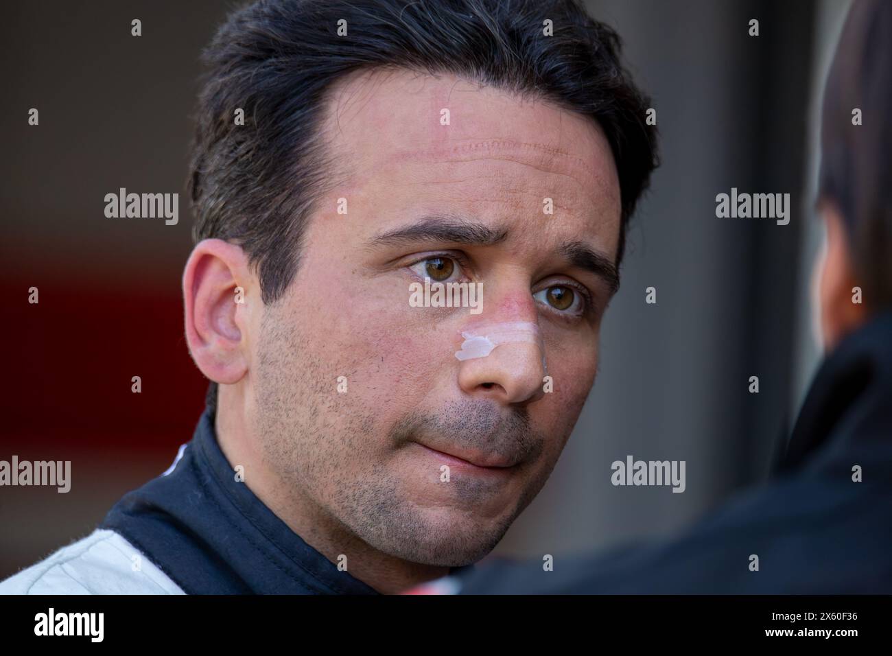 Marco pulcini Banque de photographies et d’images à haute résolution ...