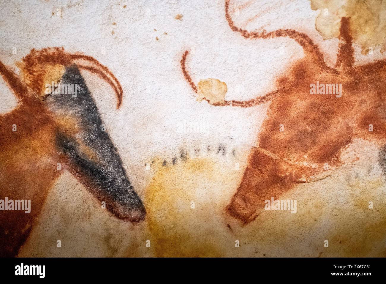 Visite de Lascaux IV, la dernière réplique complète de la grotte de ...