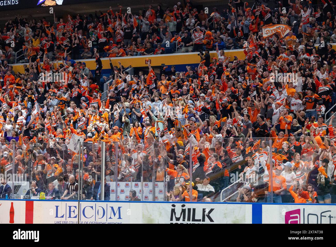 18 mai 2024 : les fans de Buffalo bandits célèbrent un but lors d’un match contre les Firewolves ...