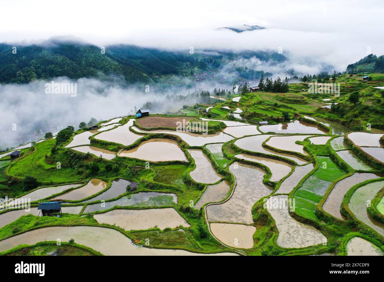(240519) -- LIPING, 19 mai 2024 (Xinhua) -- une photo prise par un drone aérien le 19 mai 2024 ...