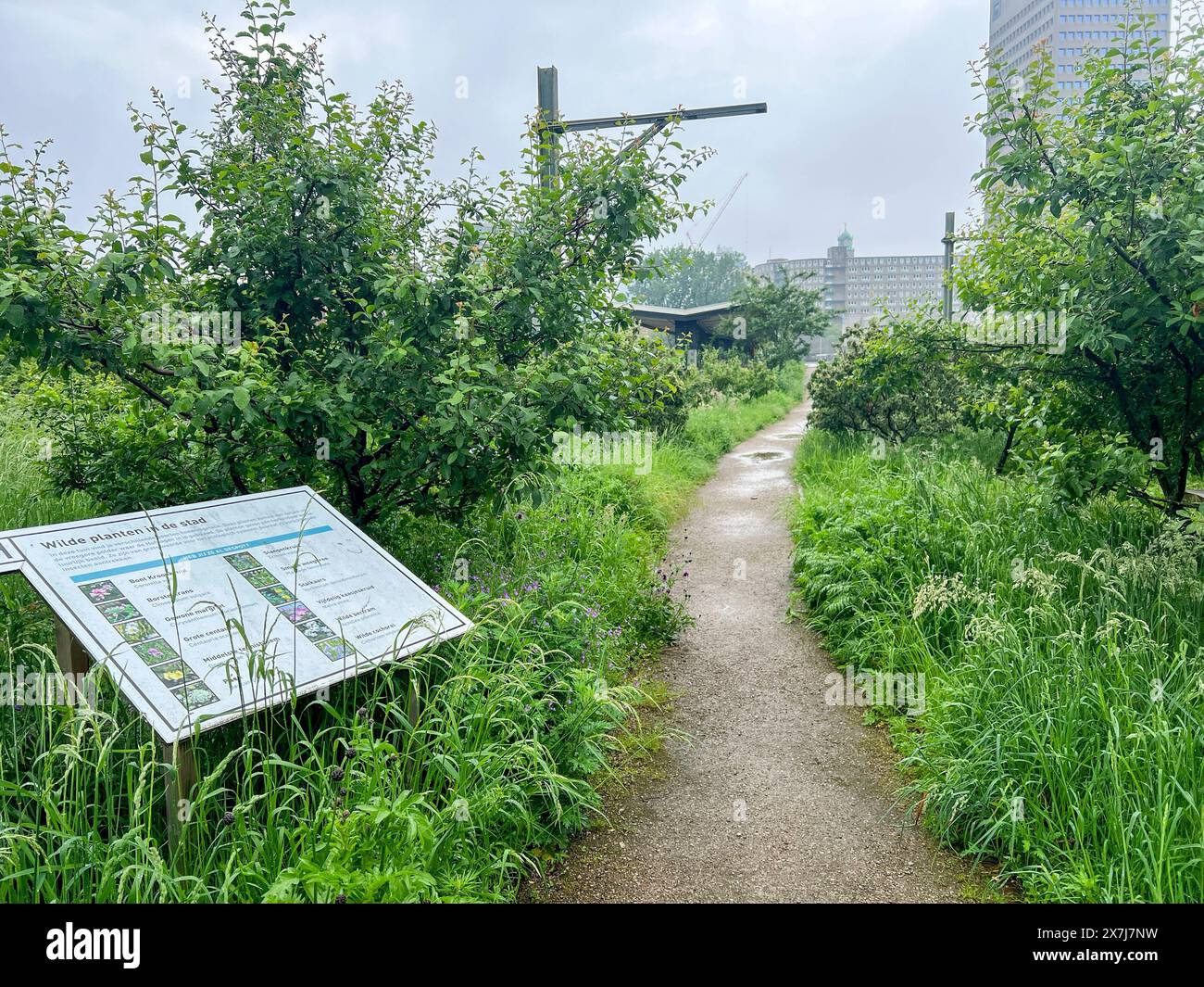 Parc hofbogen Banque de photographies et d’images à haute résolution ...