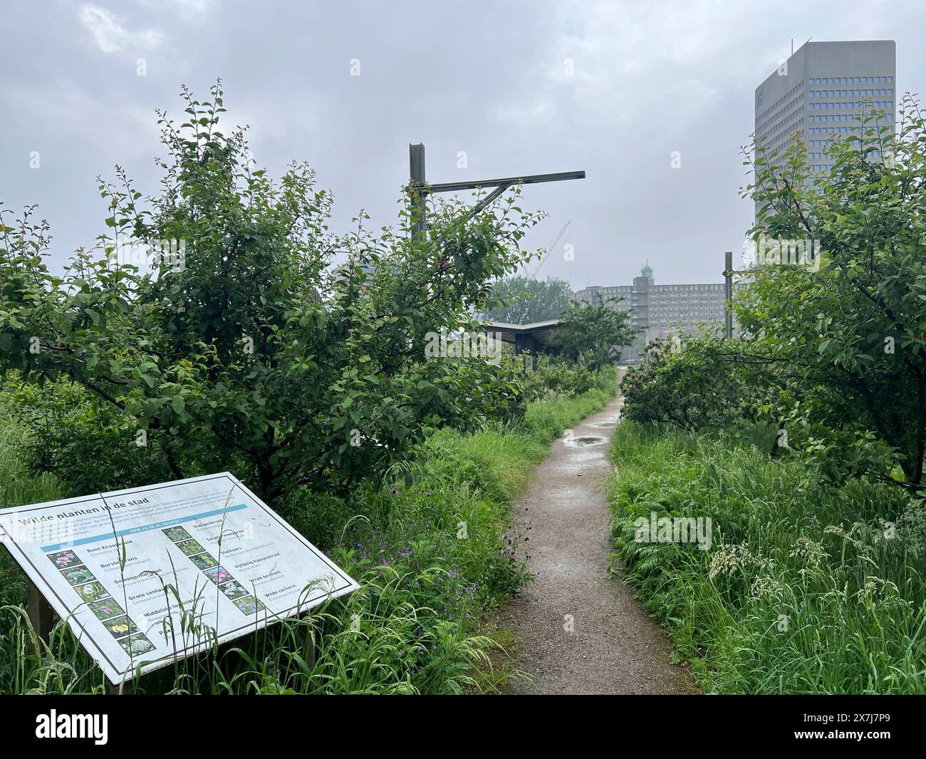 Parc hofbogen Banque de photographies et d’images à haute résolution ...