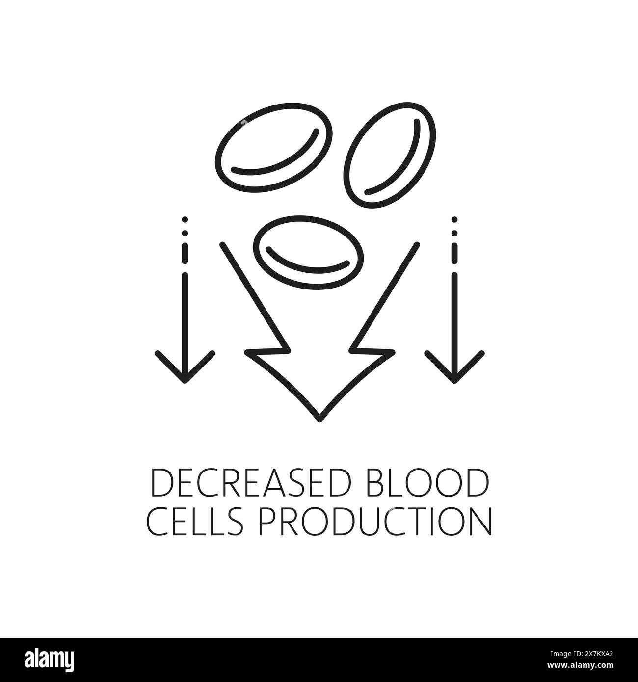 Production of blood cells Banque d'images noir et blanc - Alamy
