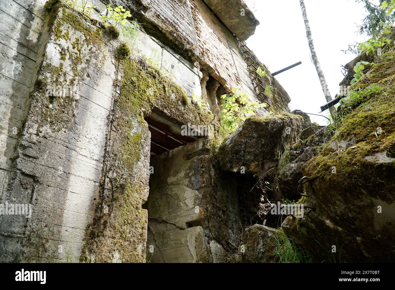 Ketrzyn, Gierloz, Pologne - 11 mai 2024 - le bunker d'Adolf Hitler au ...
