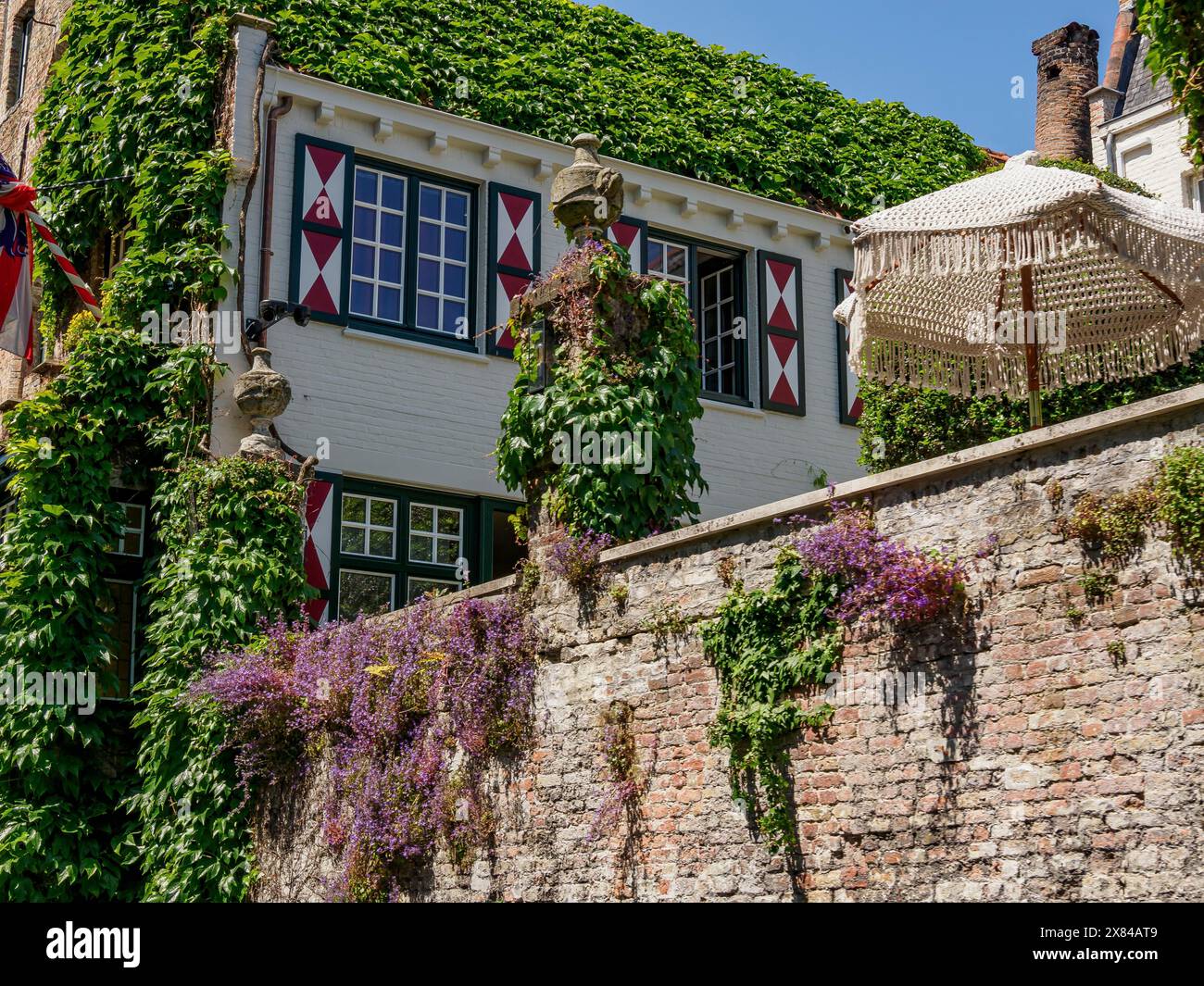 Une maison couverte de lierre avec volets et une terrasse, encastrée ...