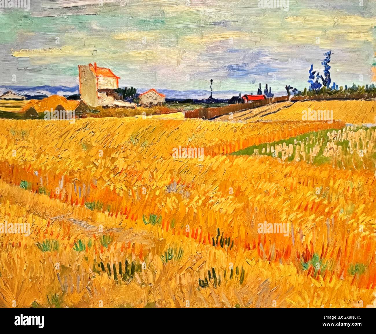 Portrait de vincent van gogh Banque d'images vectorielles - Alamy