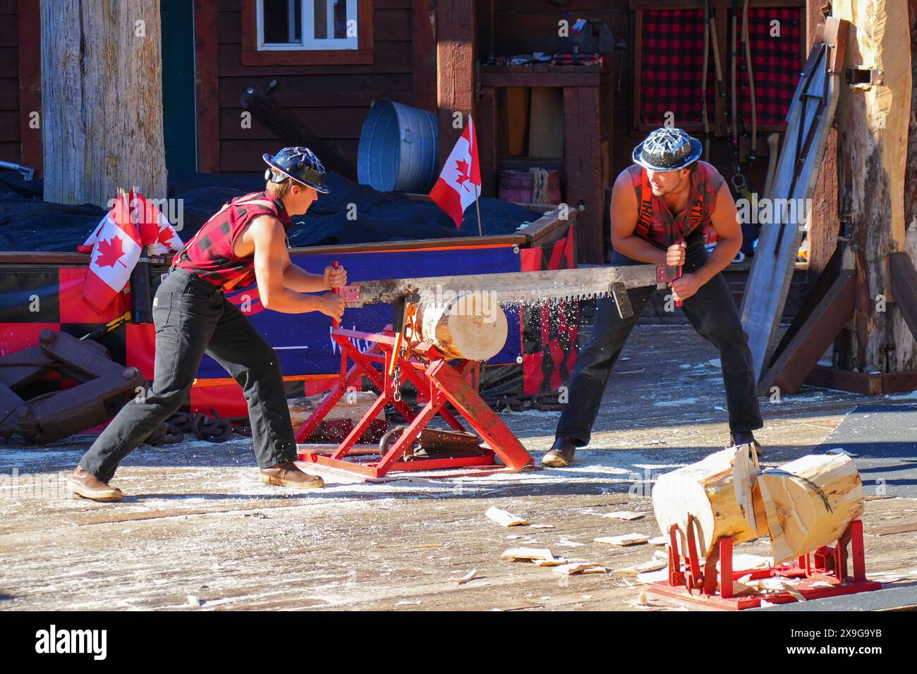 Artistes démontrant leurs compétences à scier du bois à la main lors du ...