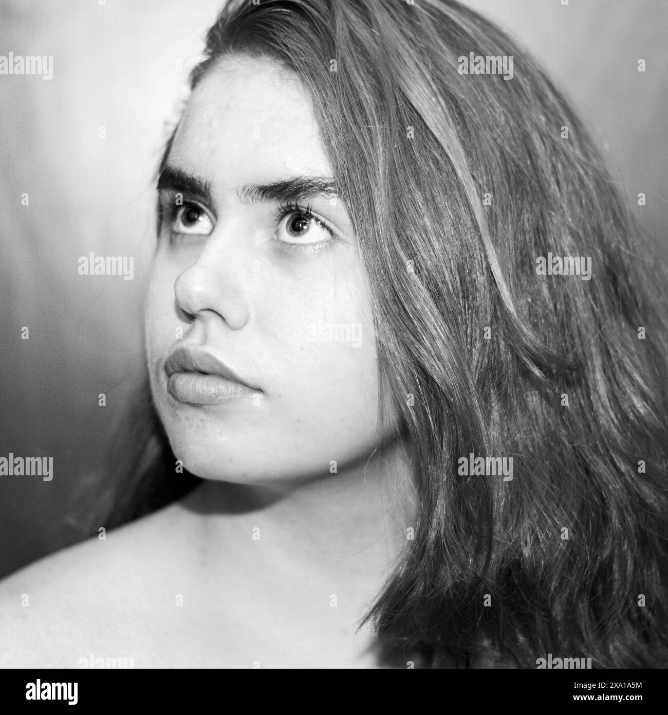 Fille à Poil Noir Et Blanc Banque De Photographies Et Dimages à Haute