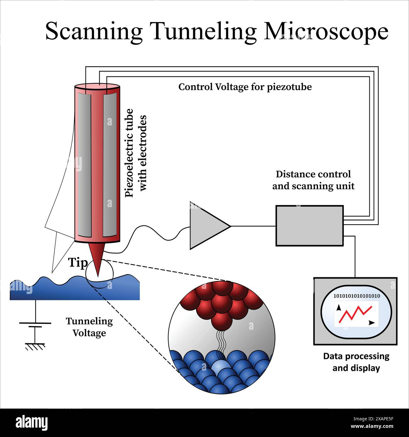 Microscope à effet tunnel à balayage (STM) qui permettait de voir les ...