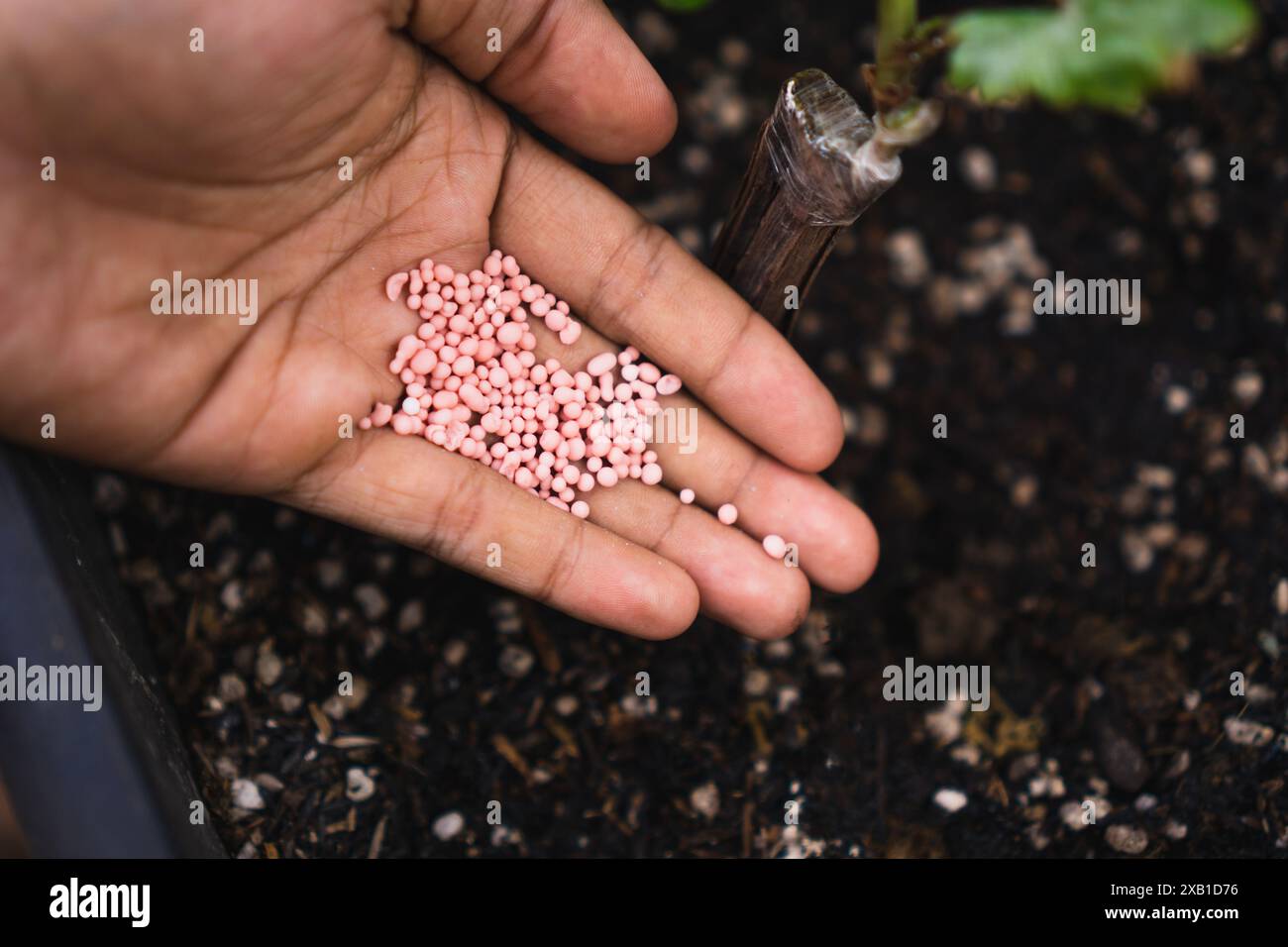 Contain potassium Banque de photographies et d’images à haute ...