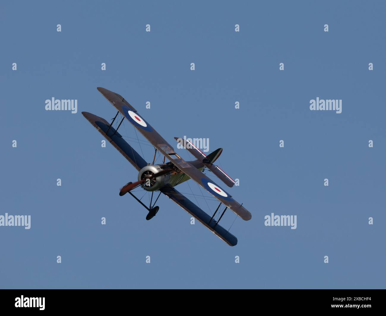 Sopwith pup Banque de photographies et d’images à haute résolution - Alamy