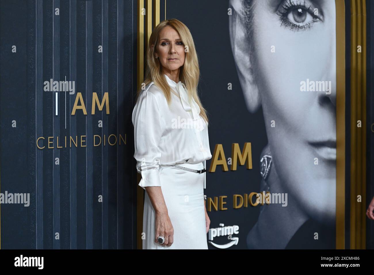 Celine dion 2024 Banque de photographies et d’images à haute résolution ...