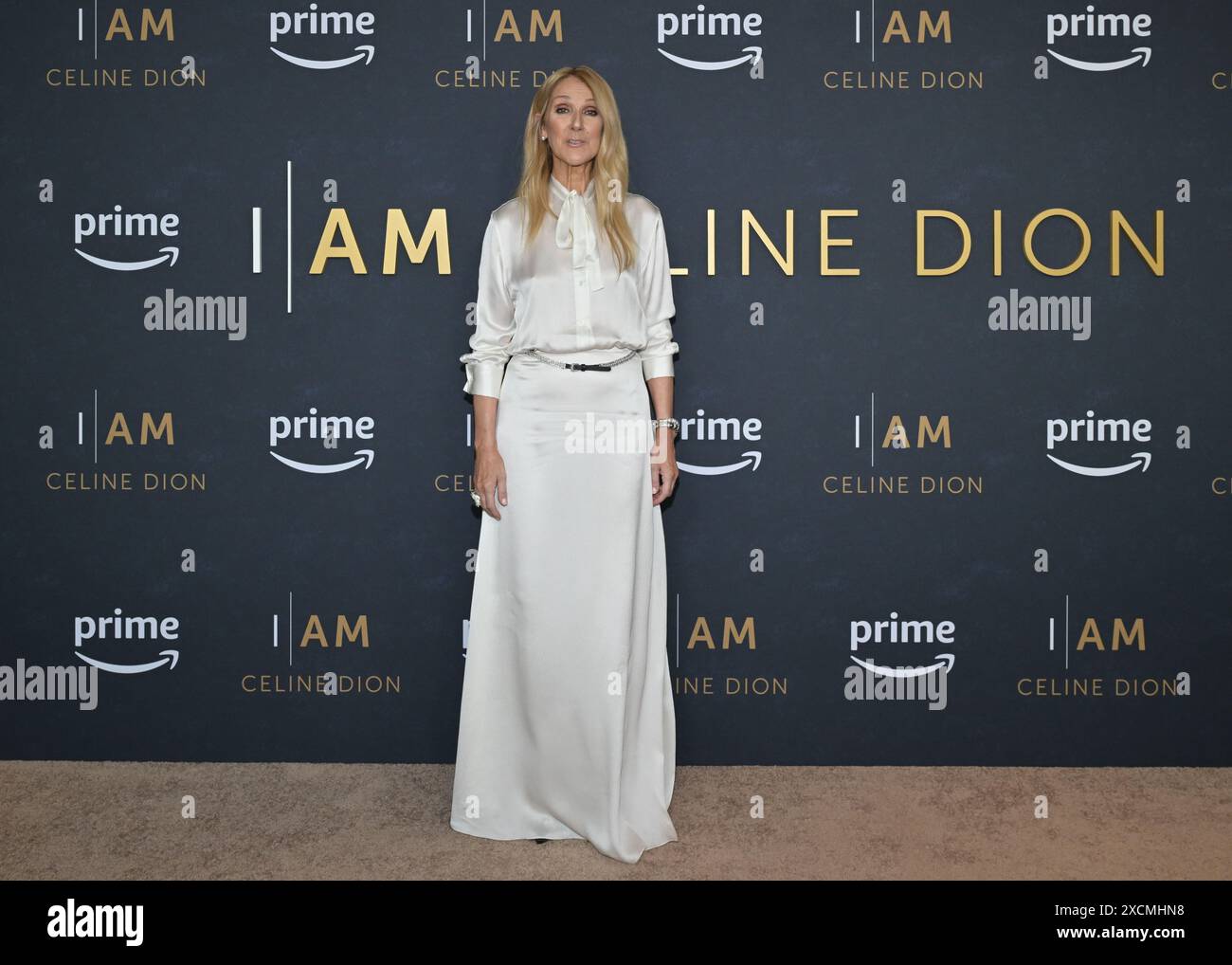 Celine dion 2024 Banque de photographies et d’images à haute résolution ...