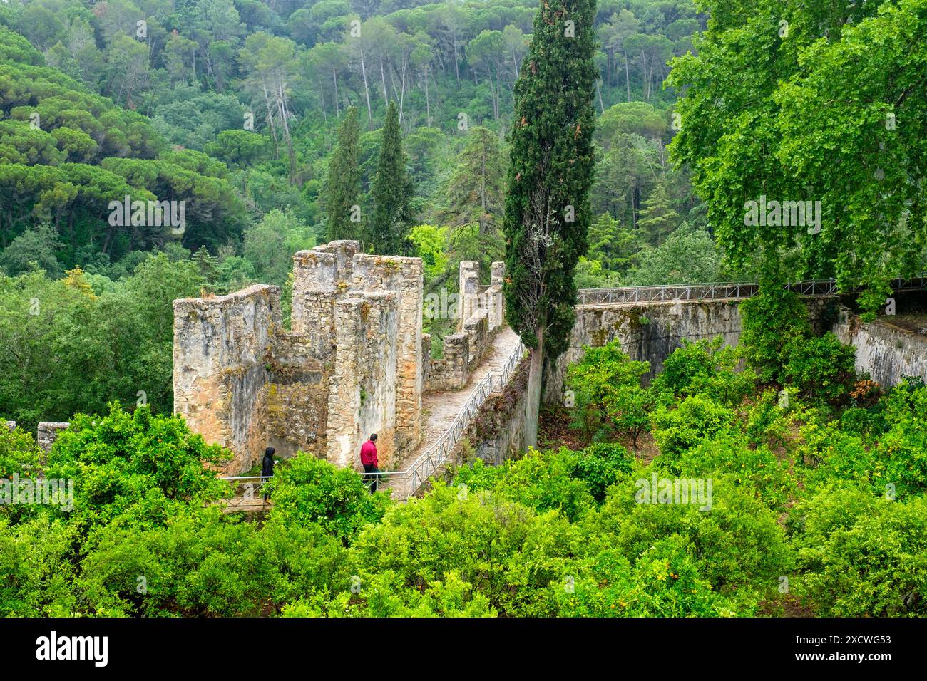 Tomar tomar castle Banque de photographies et d’images à haute ...