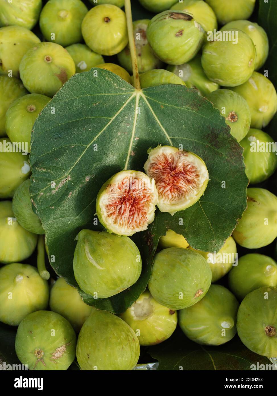 Abondance de figues. Pose verticale à plat de figues vertes mûres avec ...
