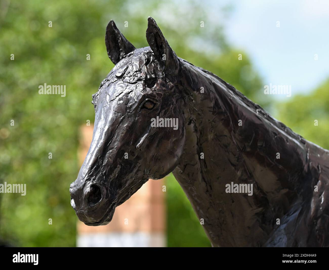 La statue de Frankel pendant Royal Ascot 2024 à Ascot Racecourse, Ascot ...