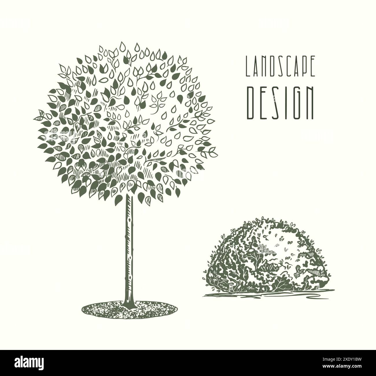 Groupe d'arbres. Arbre à feuilles caduques et petit buisson avec des ...