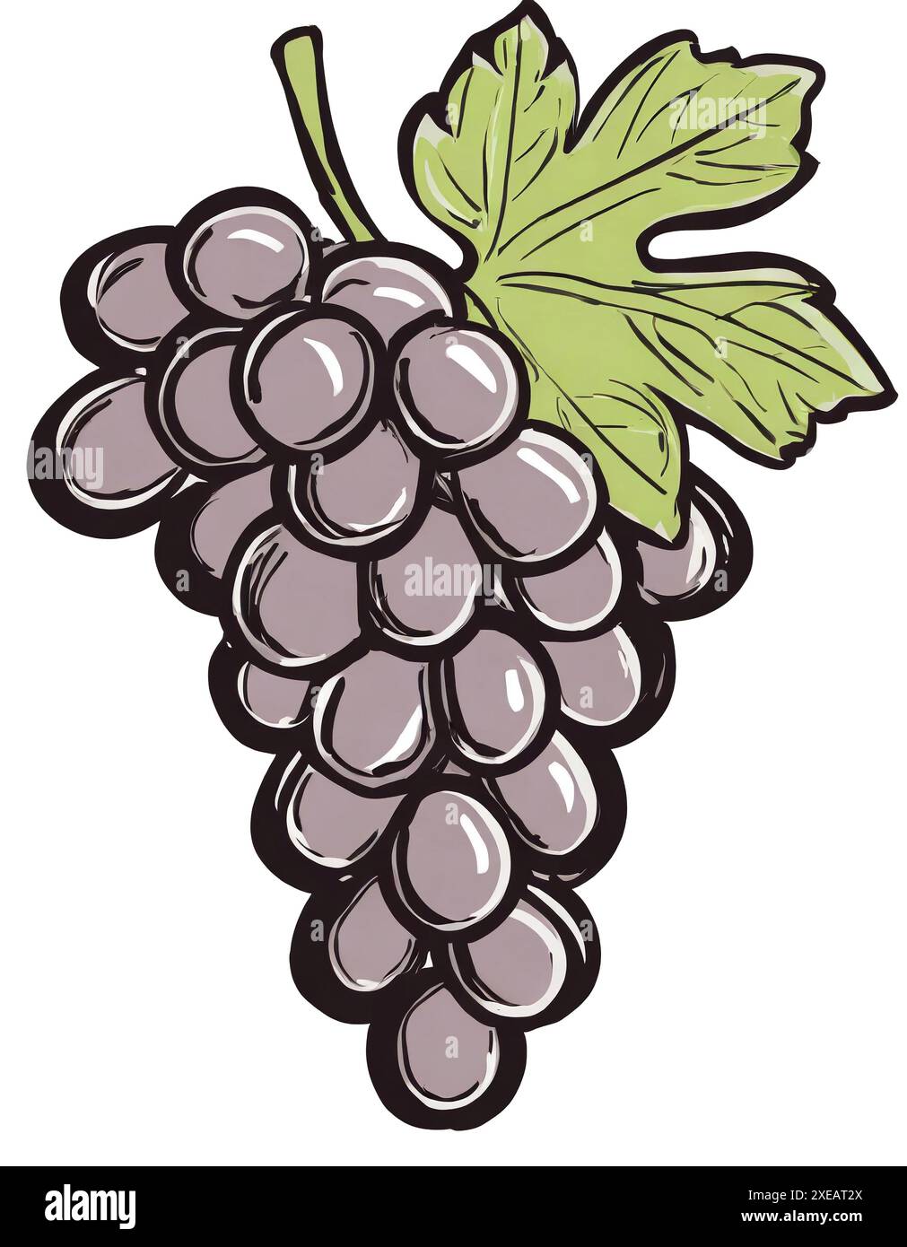 Dessin de grappe de raisin Banque d'images détourées - Alamy