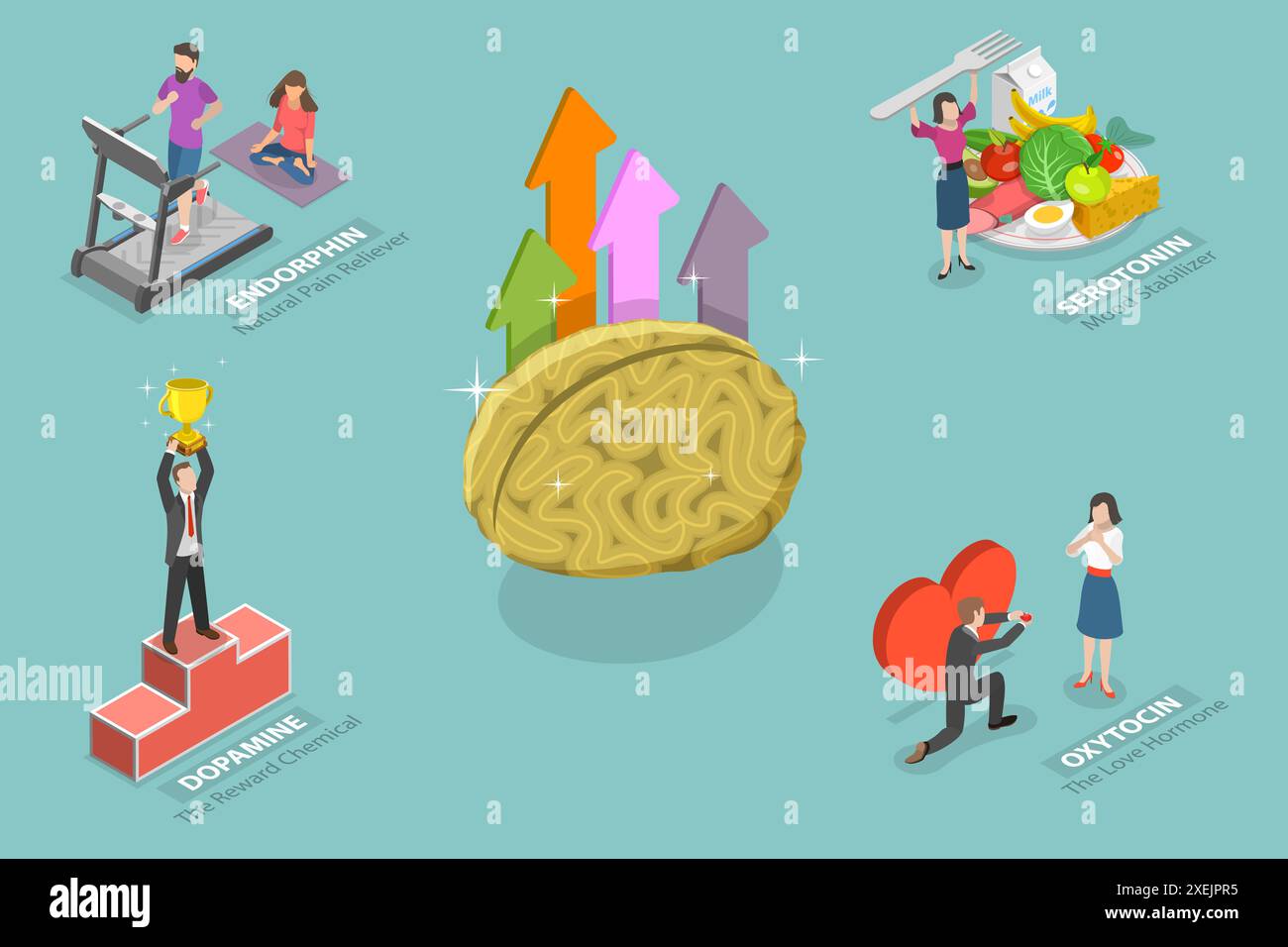 Chimie du cerveau Banque de photographies et d’images à haute ...