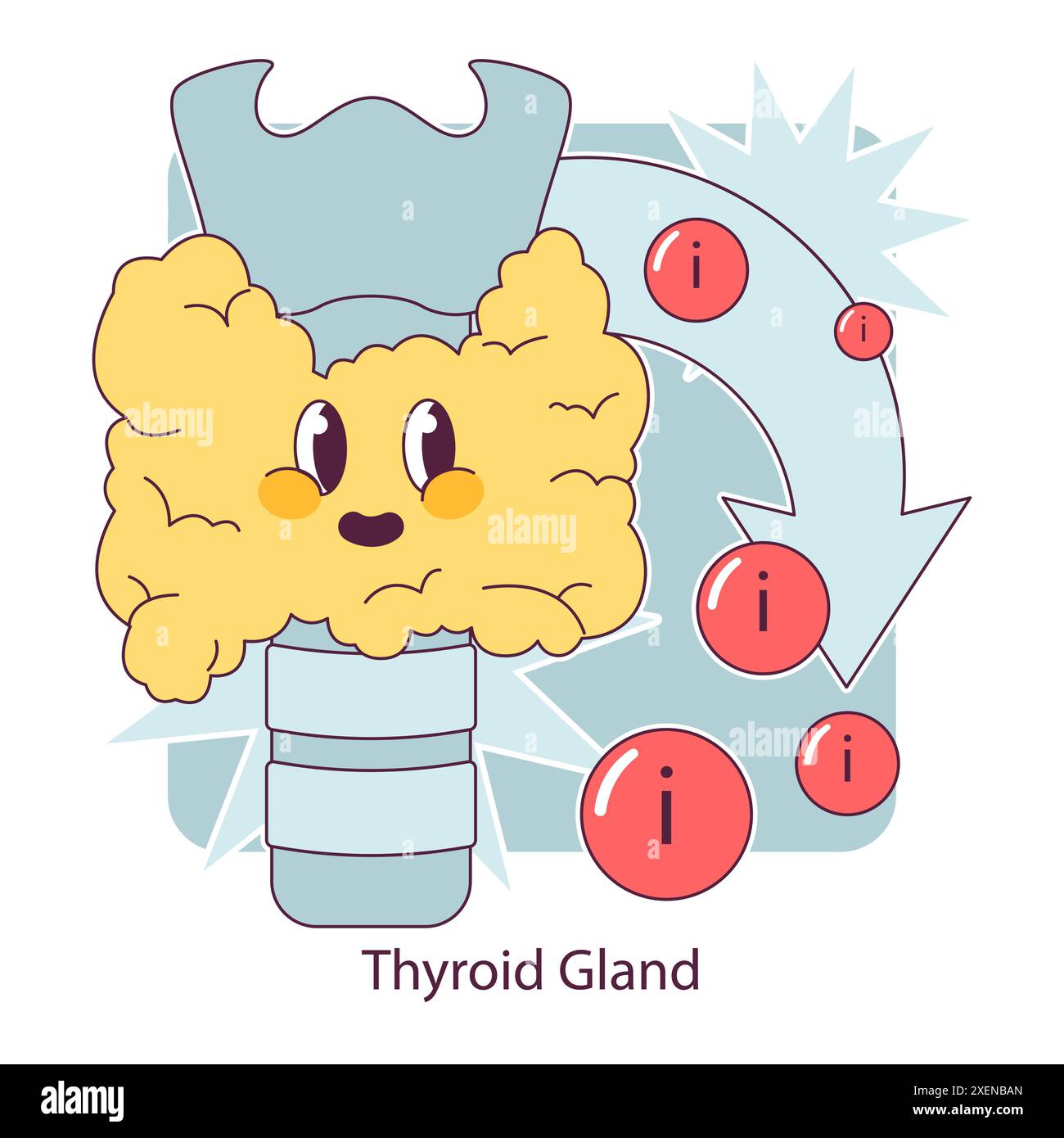 Organe endocrinien et maladie. La fonction des glandes humaines. Glande ...