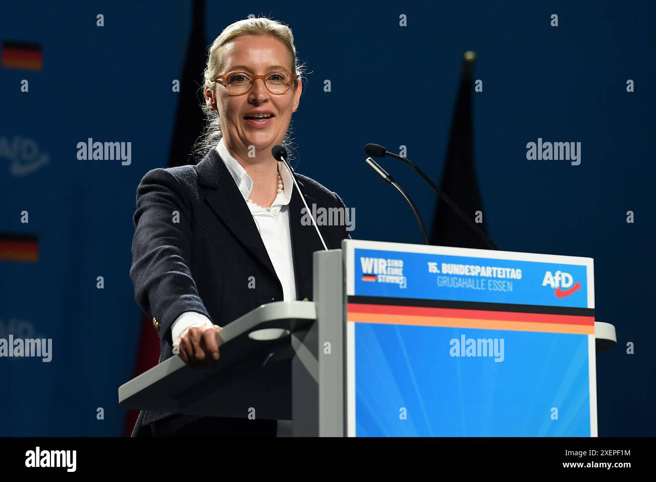 15. Bundesparteitag der Alternative für Deutschland am 29.06.2024 in ...