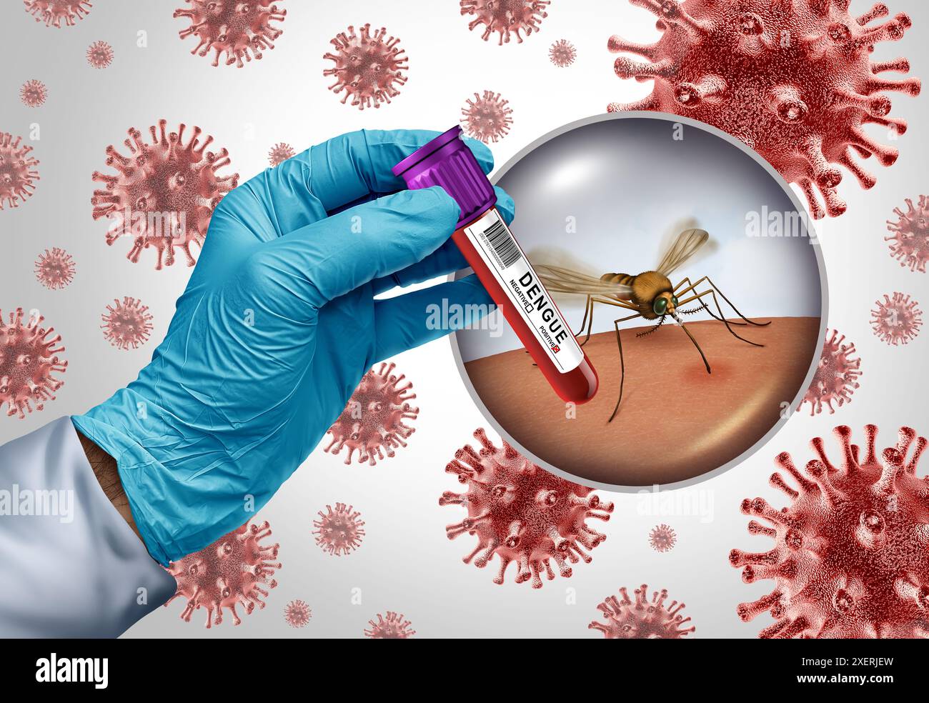 Éclosion du virus de la dengue comme une maladie transmise par les ...