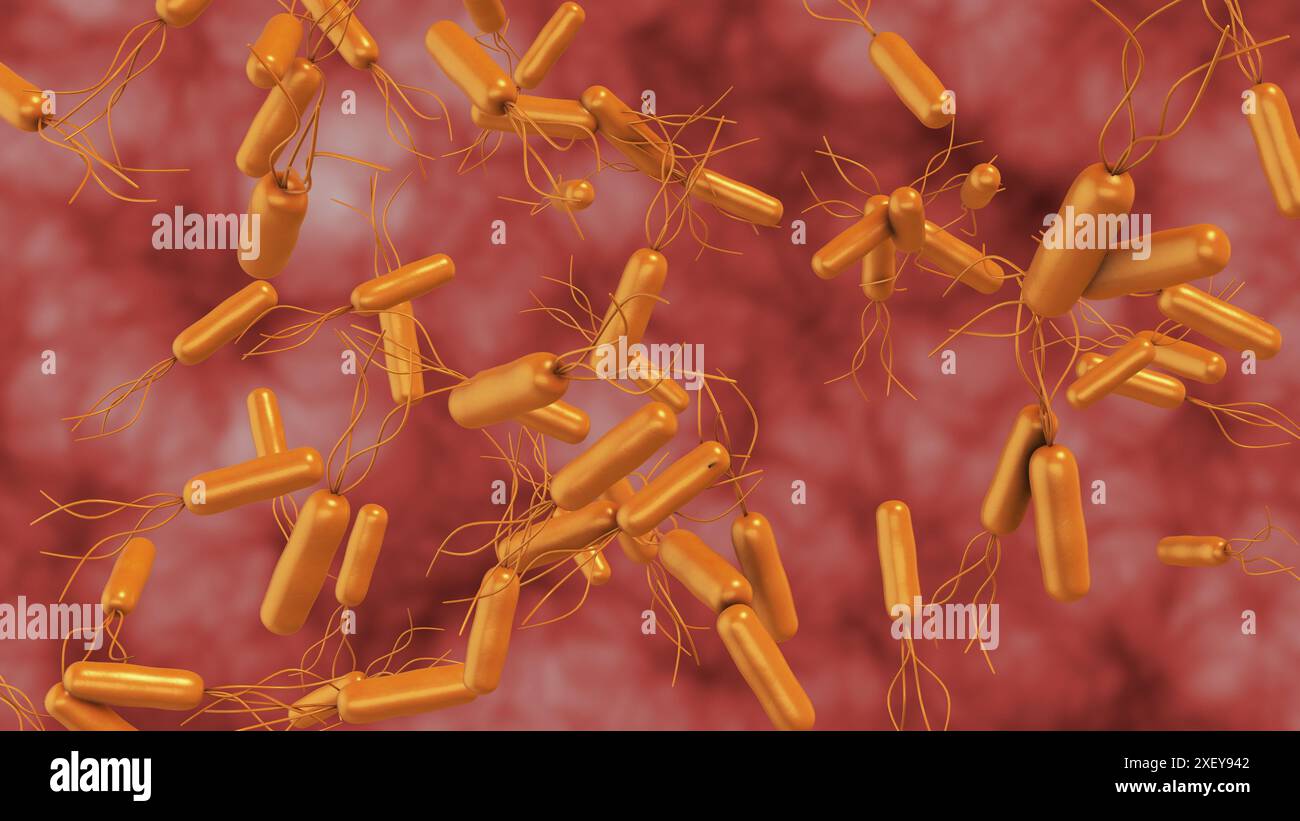 Helicobacter pylori bacteria Banque de photographies et d’images à ...