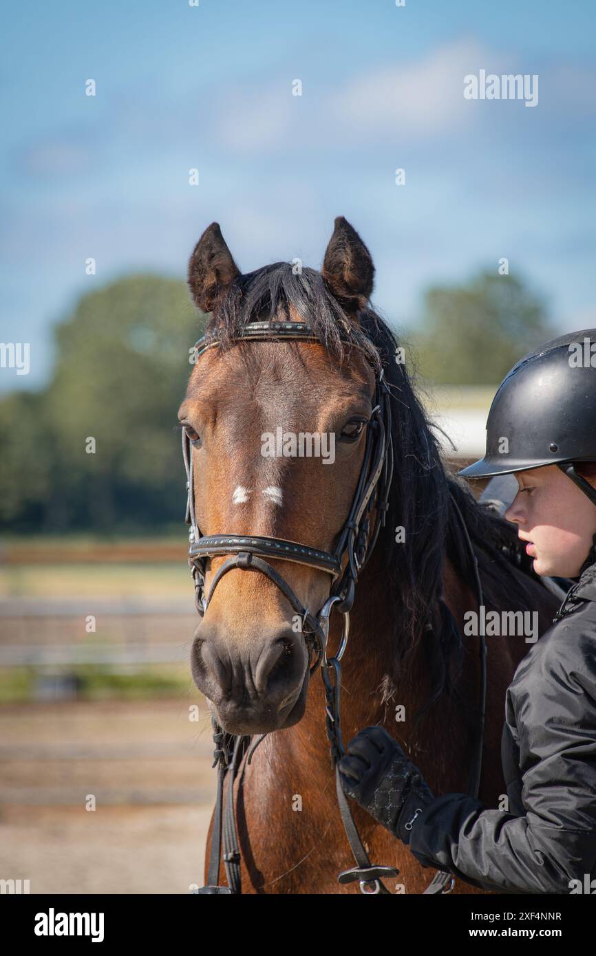 Fille avec un cheval sur le terrain Banque de photographies et d’images ...