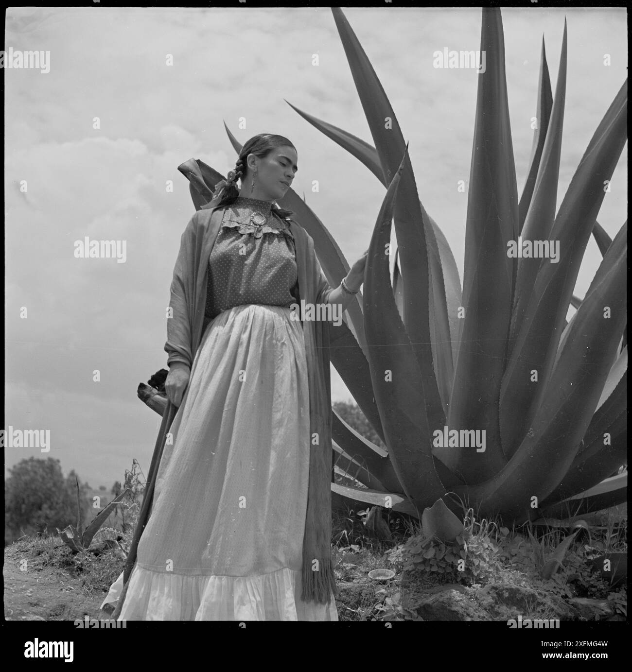 Frida kahlo museum Banque d'images noir et blanc - Alamy