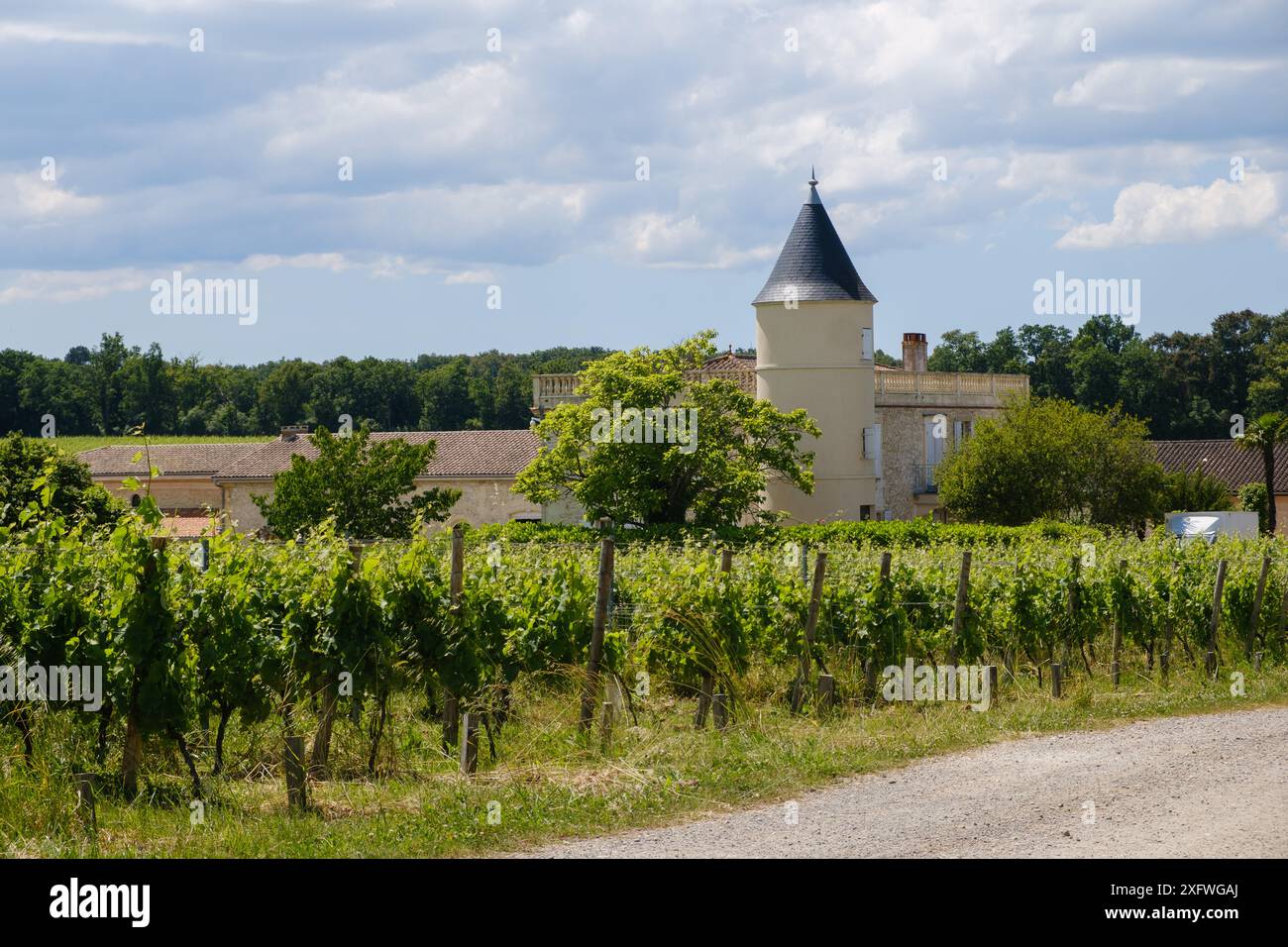 Winery chateau lafitte Banque de photographies et d’images à haute ...