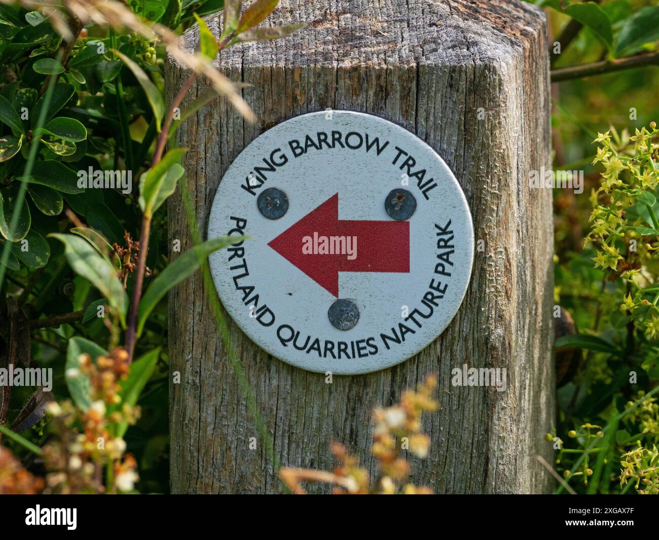 Panneau nature Trail, King Barrow Quarry nature Reserve, Dorset ...