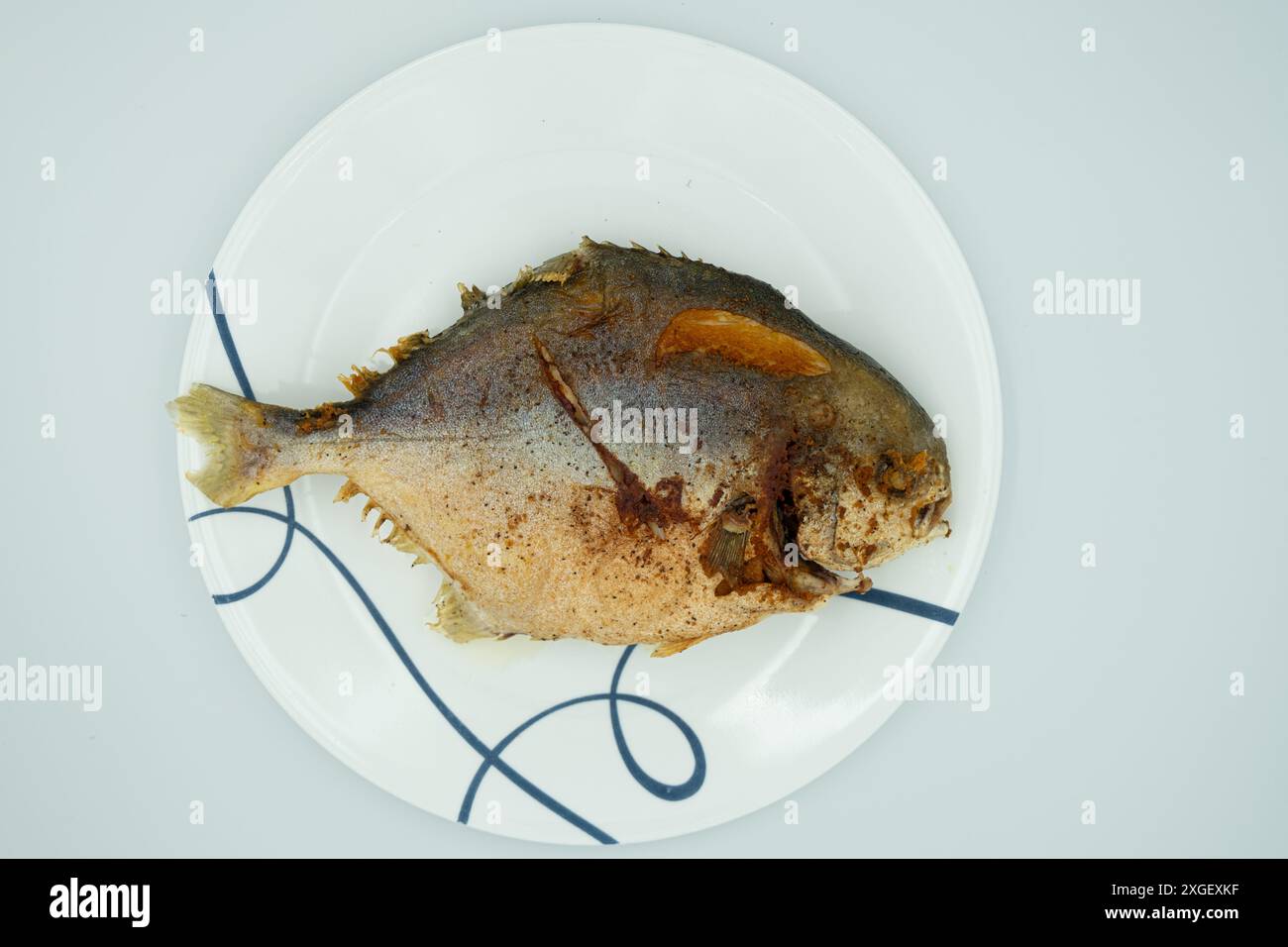 Pompano fish Banque de photographies et d’images à haute résolution - Alamy