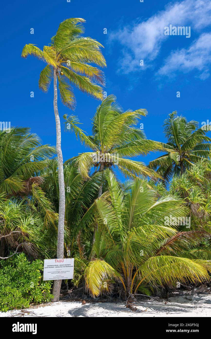 Panneau tabou sur le cocotier (Cocos nucifera), zone privée ...